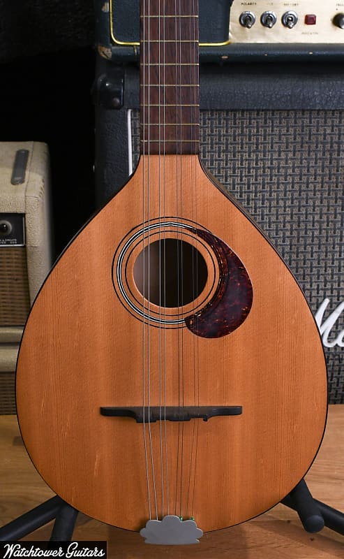 Cittern 8-string | Reverb