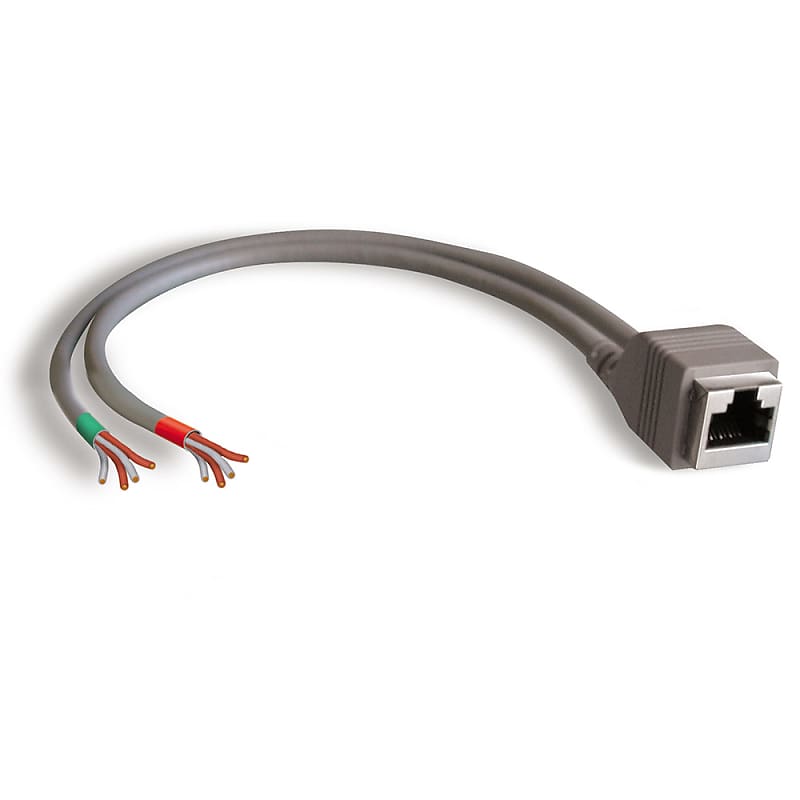 StudioHub ADAPT-TAIL Dual Unterminated to RJ-45 (Female) 8" | Reverb
