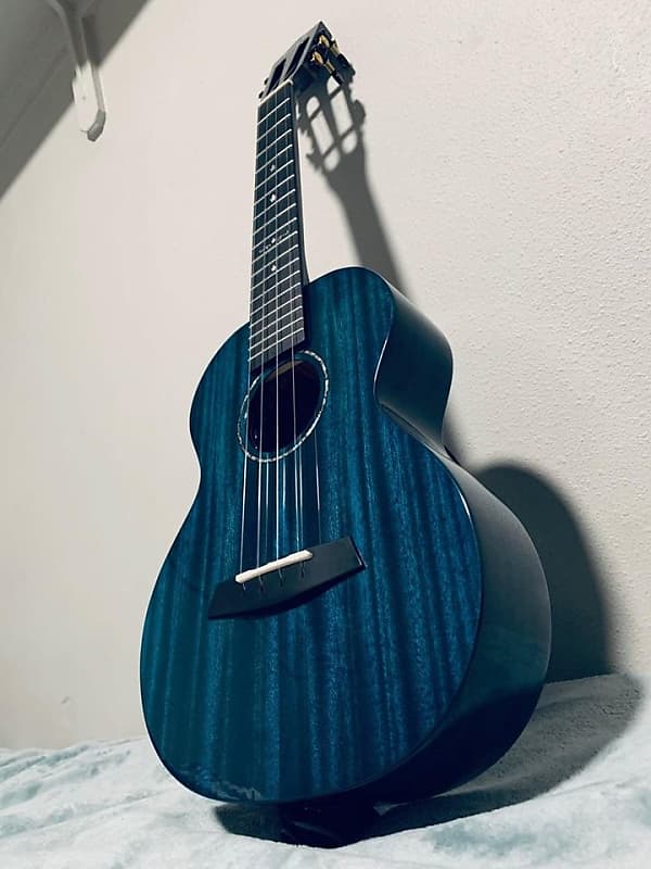 Enya EUT-MAD EQ 2021 Gloss/Blue Ukulele (Gigbag Included) | Reverb