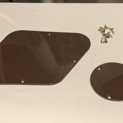 Gibson Les Paul Vintage Brown Cavity Covers w/Screws 69-75 | Reverb