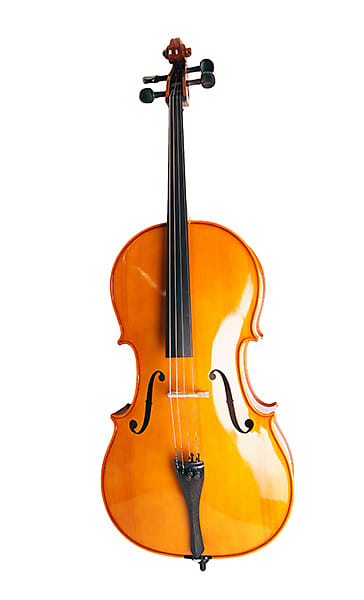 4 / 17C-1/2 Salzburg Cello 1/2, Strunal | Reverb