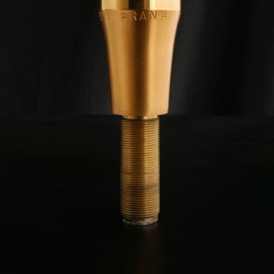 Pre-Owned Monette Raja P3-STC Trumpet in Brushed Gold Plate! | Reverb