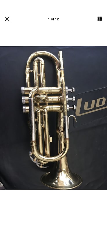 Conn Director cornet Lacquer | Reverb