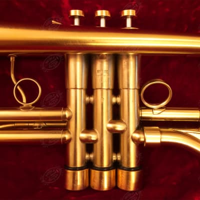 AMAZING Monette Prana Flumpet—Art Farmer Special—24k Gold—New | Reverb
