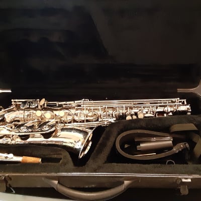 Stellar Alto Sax - Silver | Reverb