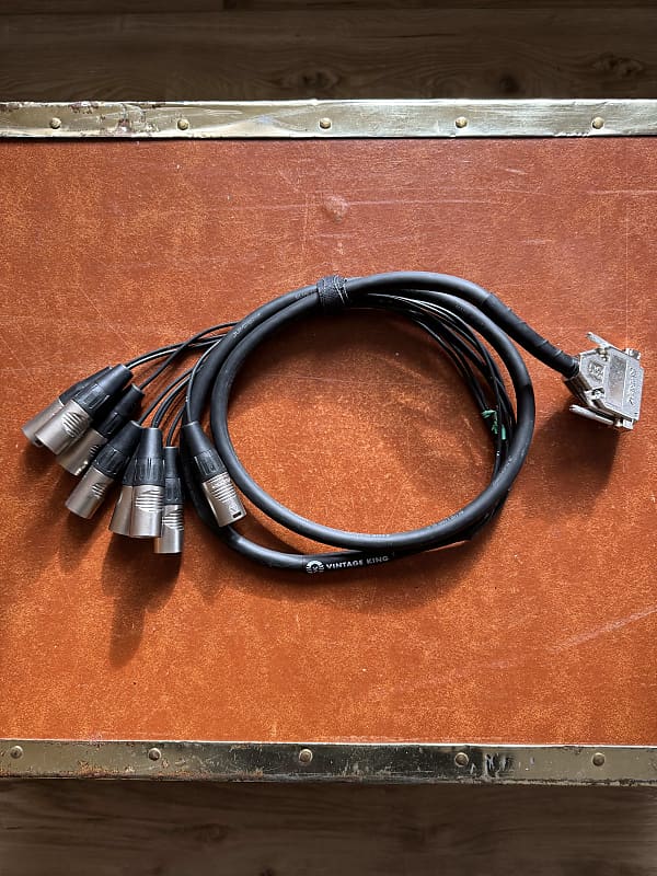 Vintage King Vintage King Basic Series DB25 - XLRM - 5' | Reverb