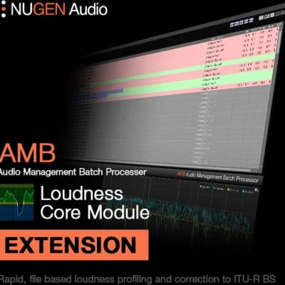 NuGen Audio AMB Loudness Module Software (Download) | Reverb