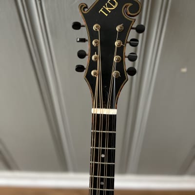 FLASH SALE - Rare F-Style Octave Mandolin - TKD Falcon | Reverb