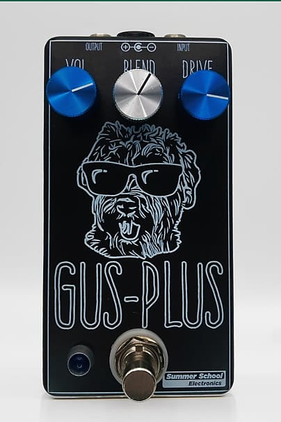 Summer School Electronics Gus-Plus | Reverb