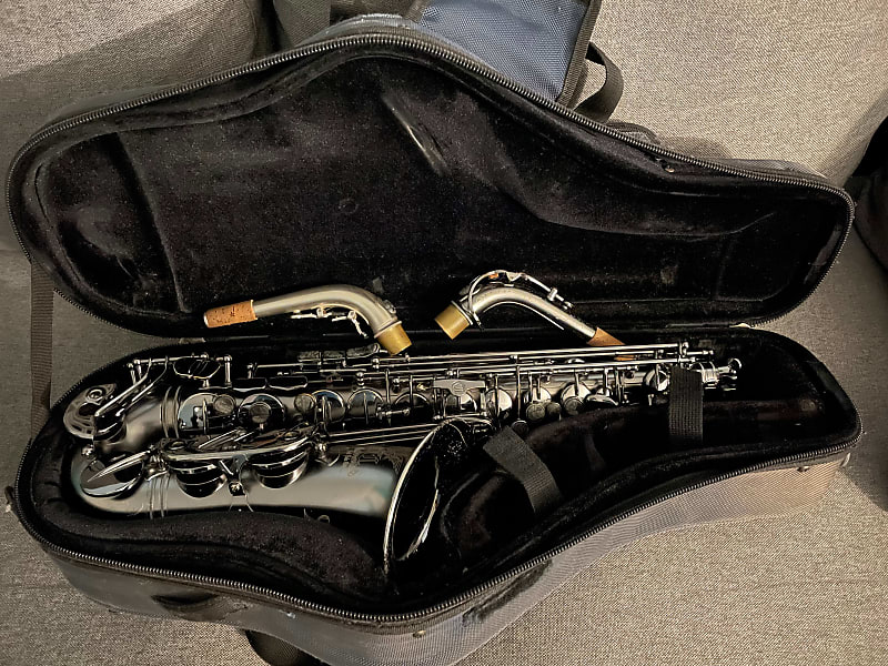 Cannonball Raven Big-Bell Stone Series Alto Saxophone w/case | Reverb