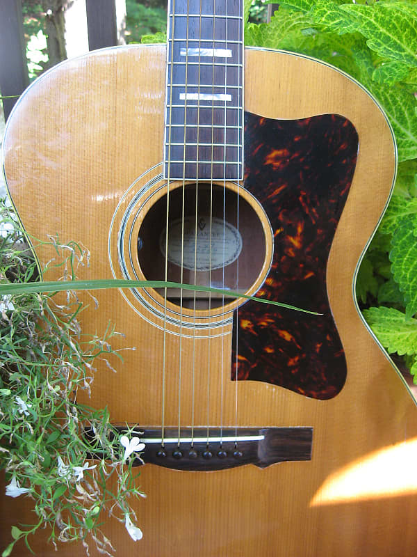 Vintage 1964 Hoboken Guild F47 OHSC | Reverb