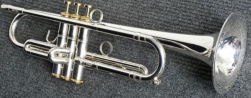 Warburton CF Horn Bb 2023 - Silver-Plated | Reverb