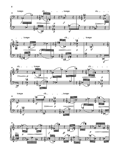 Anton Webern Variations Op 27 Piano Solo | Reverb