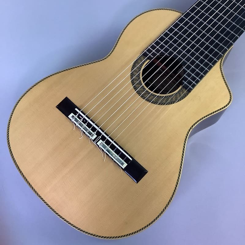 Sumio Kurosawa 11 Strings Guitar 1993 | Reverb