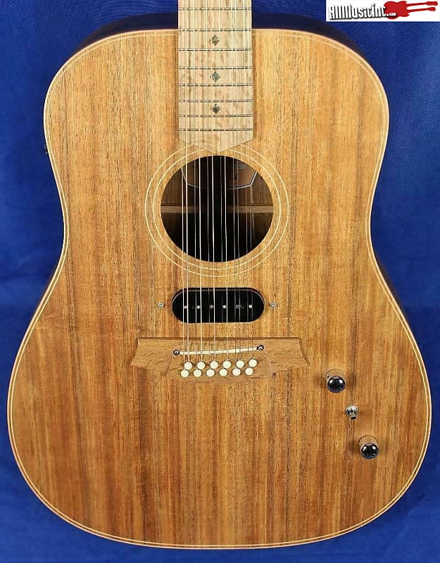 Cole Clark FL2E12-BLBL Humbucker Blackwood 12-String Acoustic | Reverb