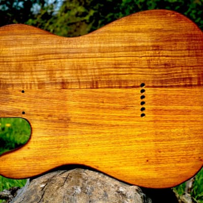 Telecaster Thinline body, super light | Reverb