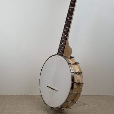 Songbird Stringed Instruments Model 20 Luthier built | Reverb