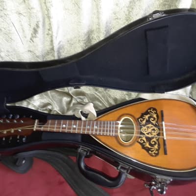 12 String Mandolin Oscar Schmidt Bowl Back mid-1920 - Varnish | Reverb