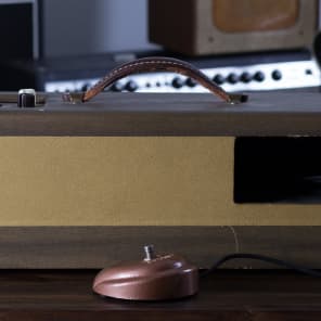 Premier 90 Reverberation Vintage Tube Spring Reverb Tank Head | Reverb