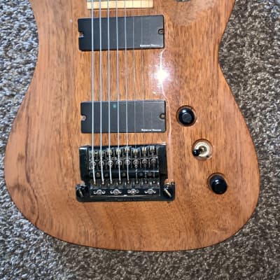 Agile 8 String electric guitar kahler tremolo | Reverb