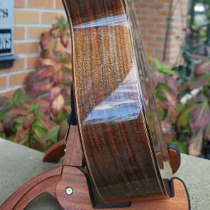 Shelley D. Park Guitars Fallen Vega Cylinder Guitar 2015 | Reverb