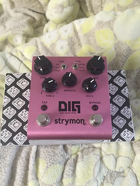 Strymon DIG Dual Digital Delay | Reverb