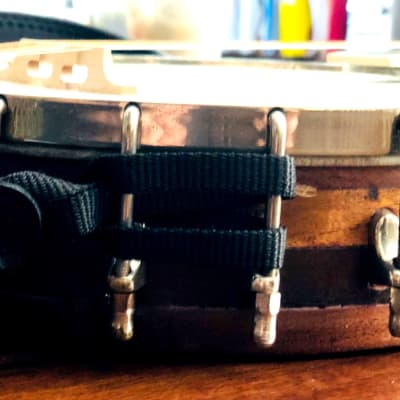 Dayton Banjo Mandolin 1910s | Reverb