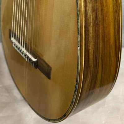 Blueberry Handmade Ten String Classical Nylon String Guitar | Reverb