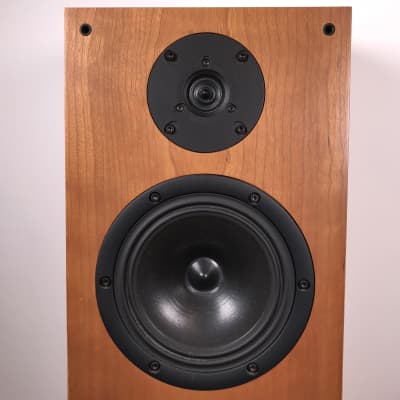 Naim Ariva Floor Standing Speakers | Reverb