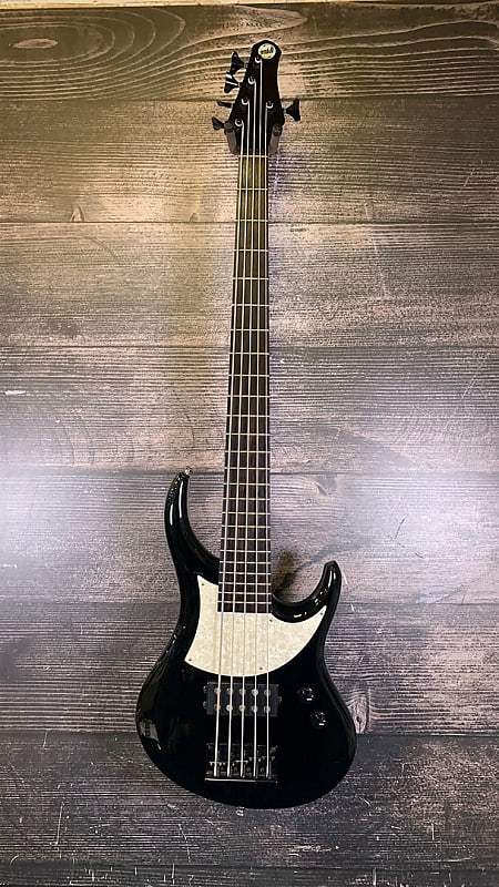 MTD Artist 5 String Bass Guitar (Richmond, VA) | Reverb
