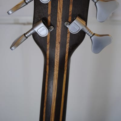 Warwick Dolphin Pro 1 | Reverb