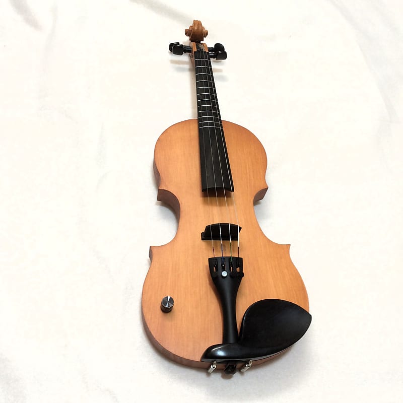 Left hand violin. Fretted semi-acoustic / electric. Fretted | Reverb