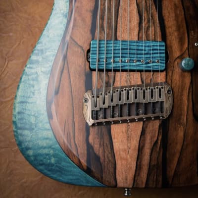 ESP Custom Shop Horizon CTM 9-String NAMM 2020 Exhibition | Reverb