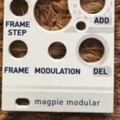 Magpie Modular v2 uBraids PCB and white OLED display bundle - | Reverb