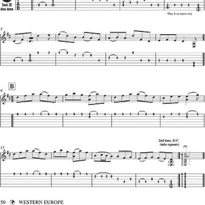 World Guitar - Guitarist's Guide to the Traditional Styles of | Reverb