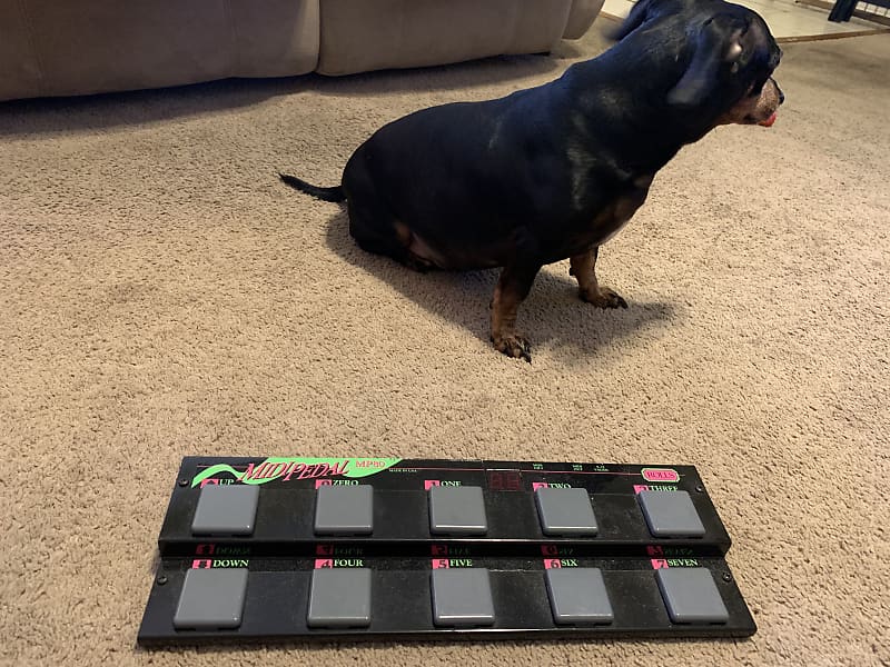 Rolls Mp80 midi pedal | Reverb