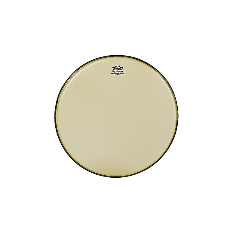 Remo Renaissance Ambassador Tom Batter 14 in. | Reverb