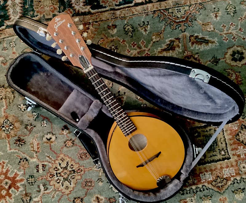 Gold Tone GM-10: Frypan Mandolin with Case - Natural | Reverb