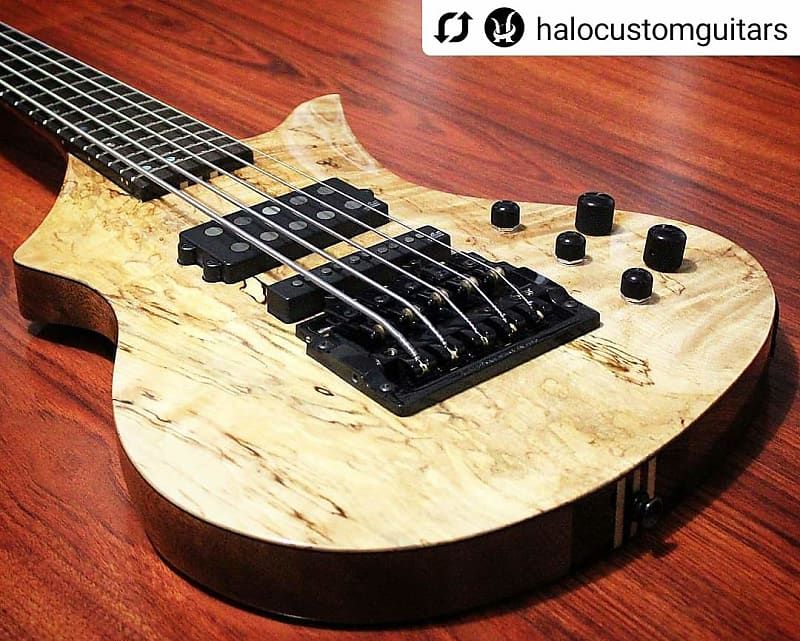 Halo Guitars Custom Inverted 5 R Bass Spalted Maple & | Reverb