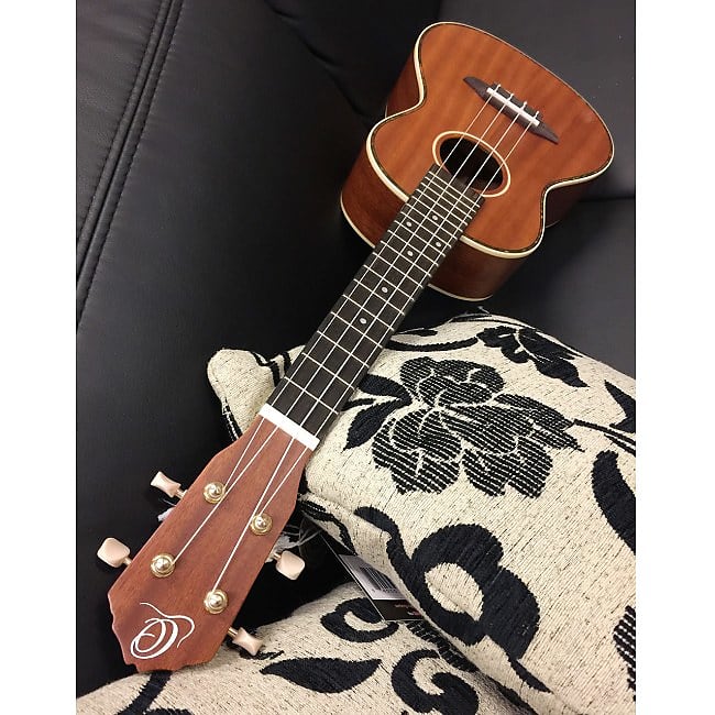 ORTEGA RU11 Konzert Ukulele inkl. Gigbag, natur | Reverb