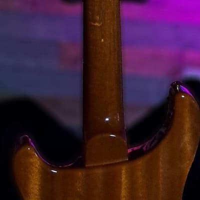 PRS Private Stock 10302 Custom 24 Falling Leaves Beach | Reverb