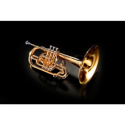 Allora AMP-450 Marching F Mellophone Lacquer | Reverb