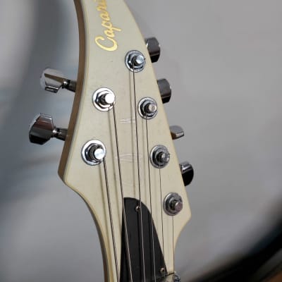 Caparison Dellinger CA-PW Christopher Amott (Arch Enemy) | Reverb UK