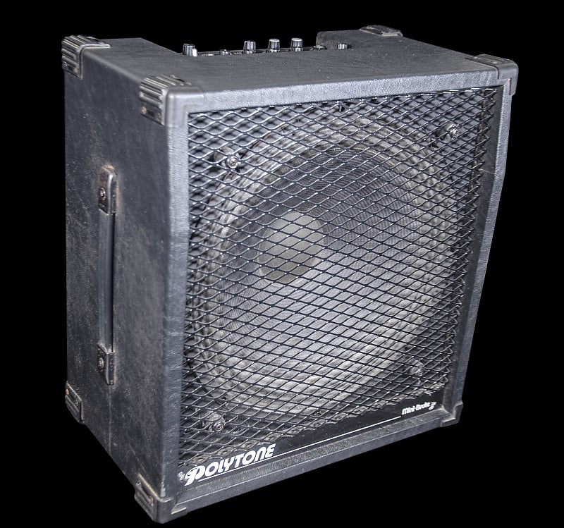 Polytone Mini Brute IV 1x15'' 100-Watt Guitar Combo Amplifier | Reverb