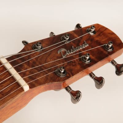 Dashwood Turkish Walnut Exhibition 2024 - Resin Oil | Reverb