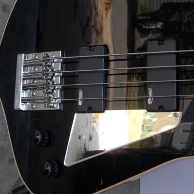 Warmoth Custom Paul Stanley style Iceman Bass PSB-1 with | Reverb