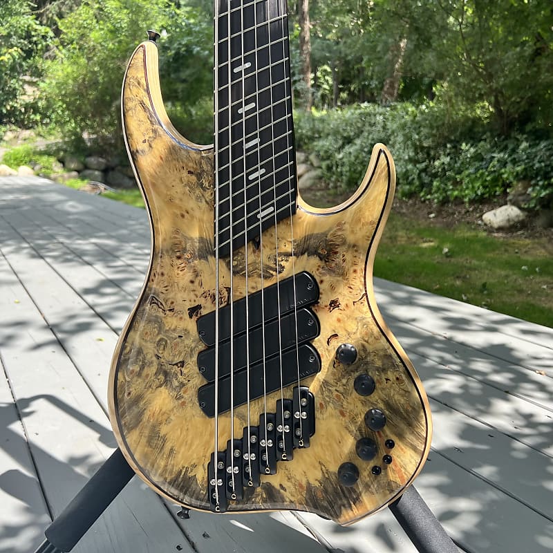 Dingwall Z3 6-String Bass Multi-Scale Fanned Fret Buckeye | Reverb