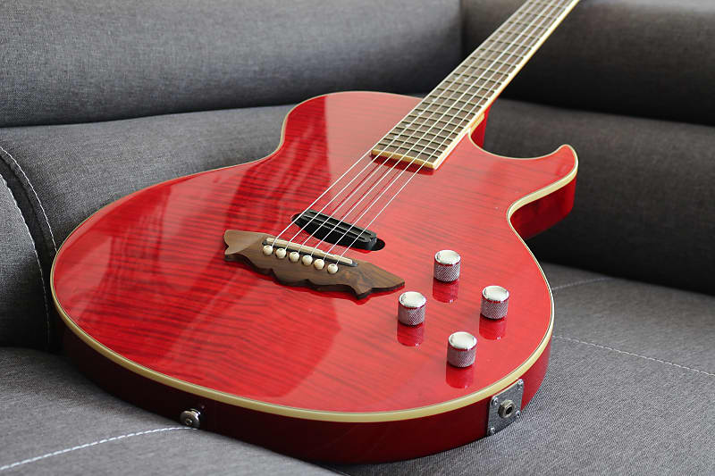 Washburn Sammy Hagar Red Rocker RR-100 Trans Red | Reverb