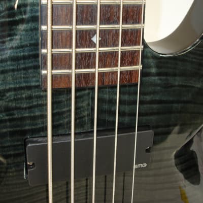 DBZ Barchetta 5-string Bass Guitar Trans Black Flame | Reverb