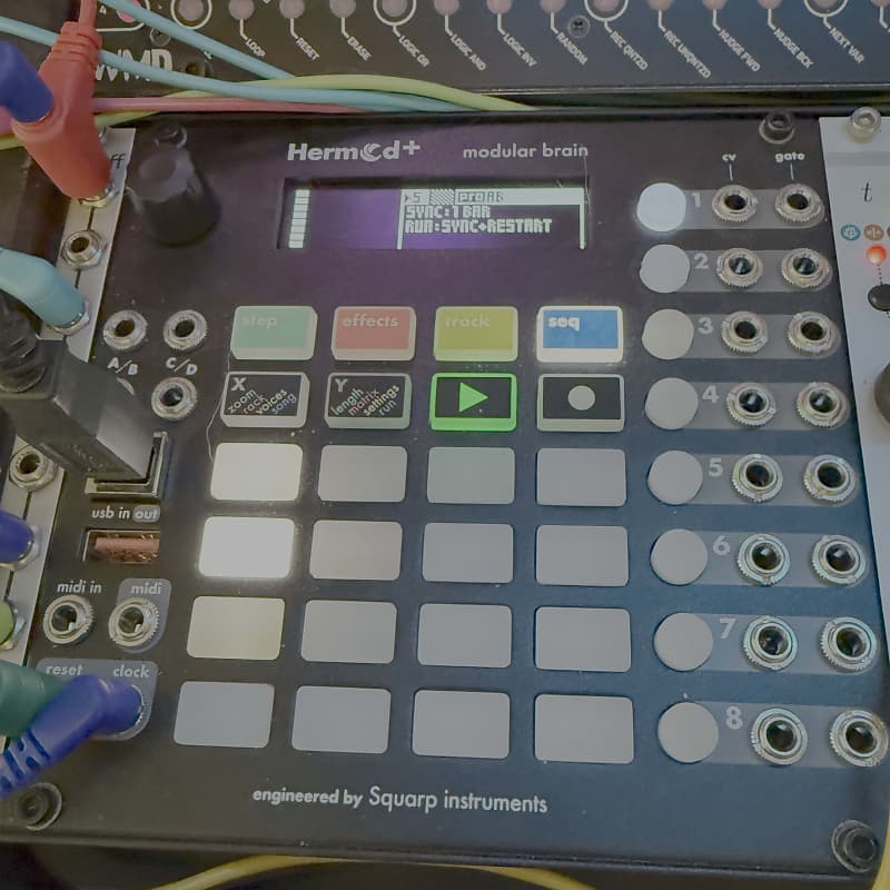 Squarp Hermod+ 2023 - Black | Reverb